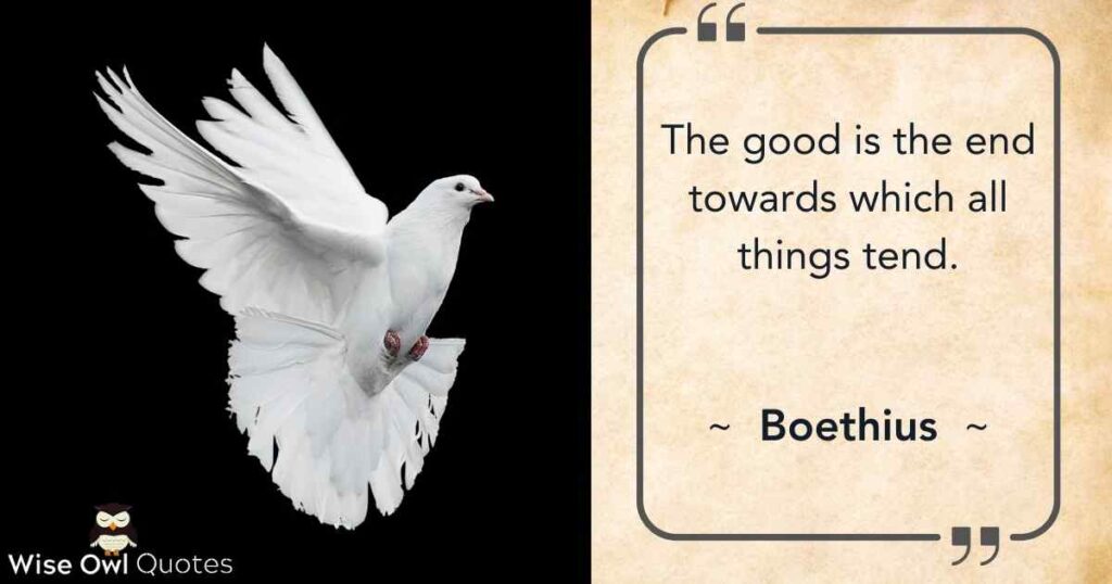 32 Boethius Quotes to Find Wisdom and Consolation in Life's Challenges ...